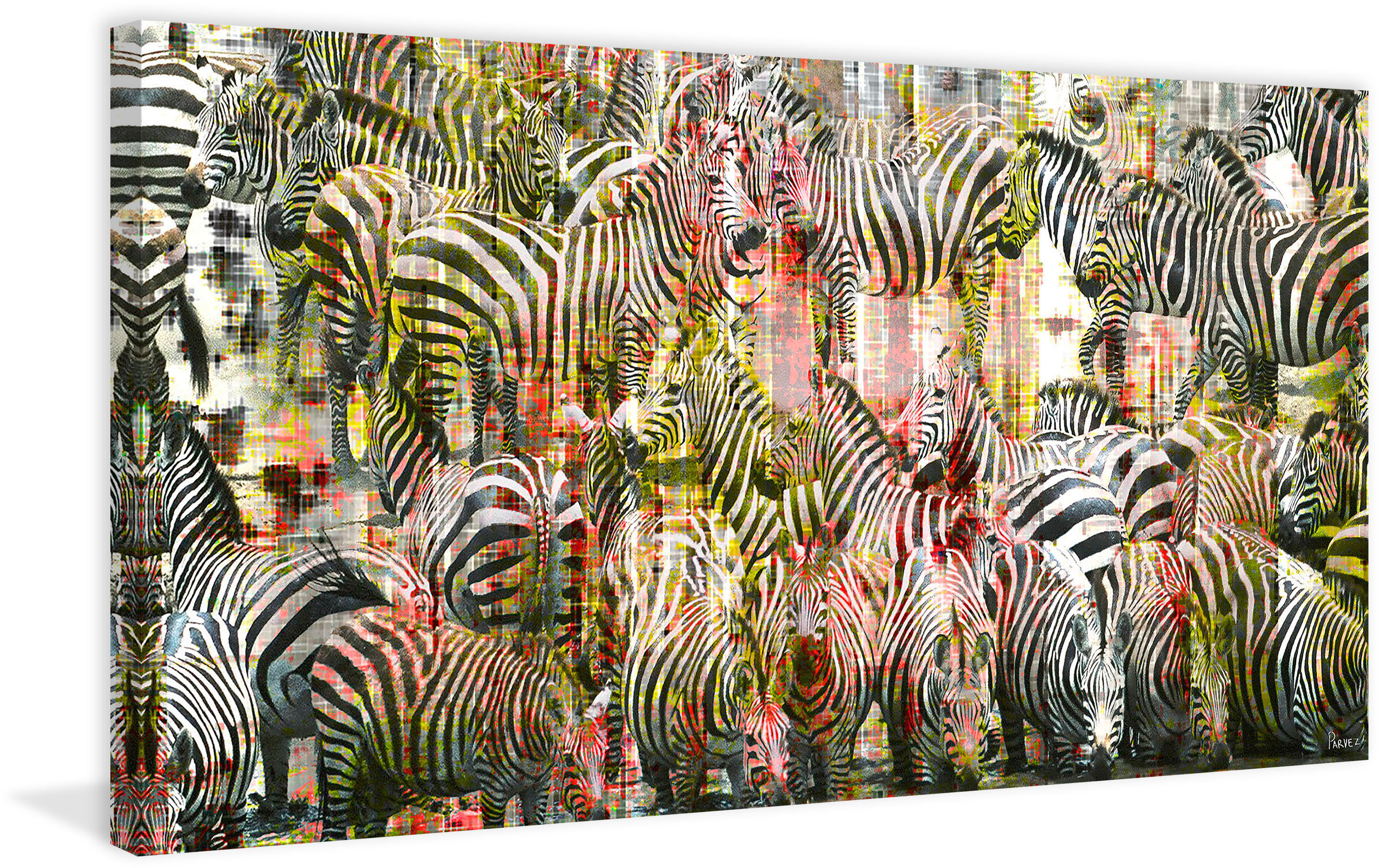 Parvez Taj 'Zebras' by Parvez Taj Painting Print on Wrapped Canvas ...