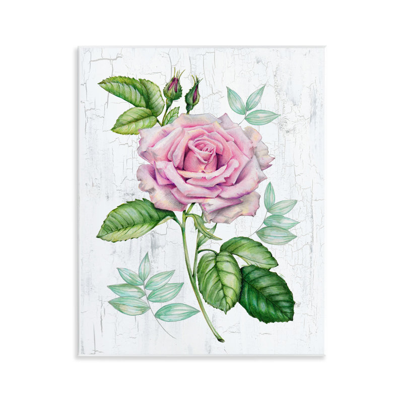 Stupell Industries English Manor Rose Wall Plaque Art by Levison Design ...