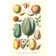 Buyenlarge Fruits and Nuts by William Rhind - Graphic Art Print | Wayfair