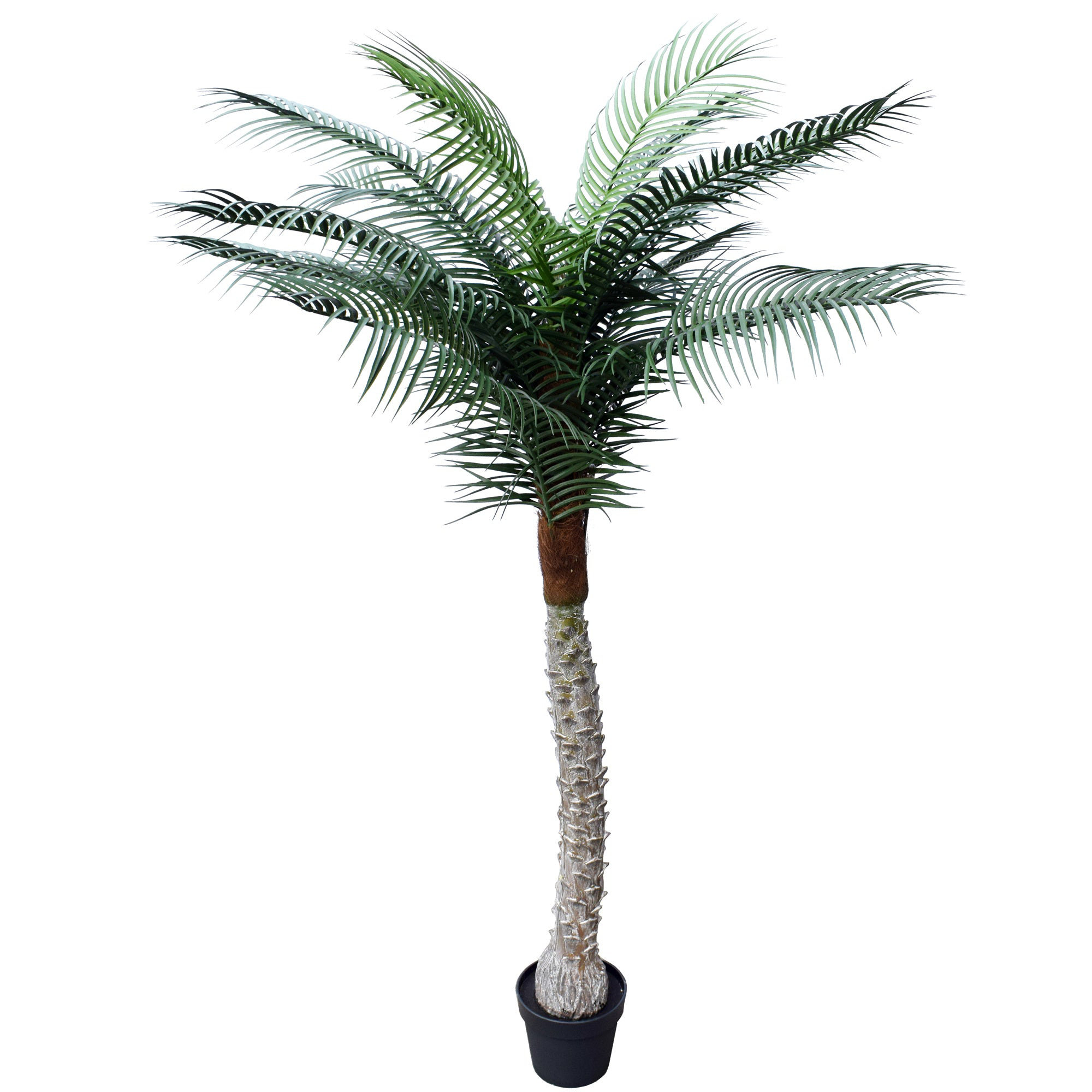 Primrue 82'' Palm Tree in Pot | Wayfair