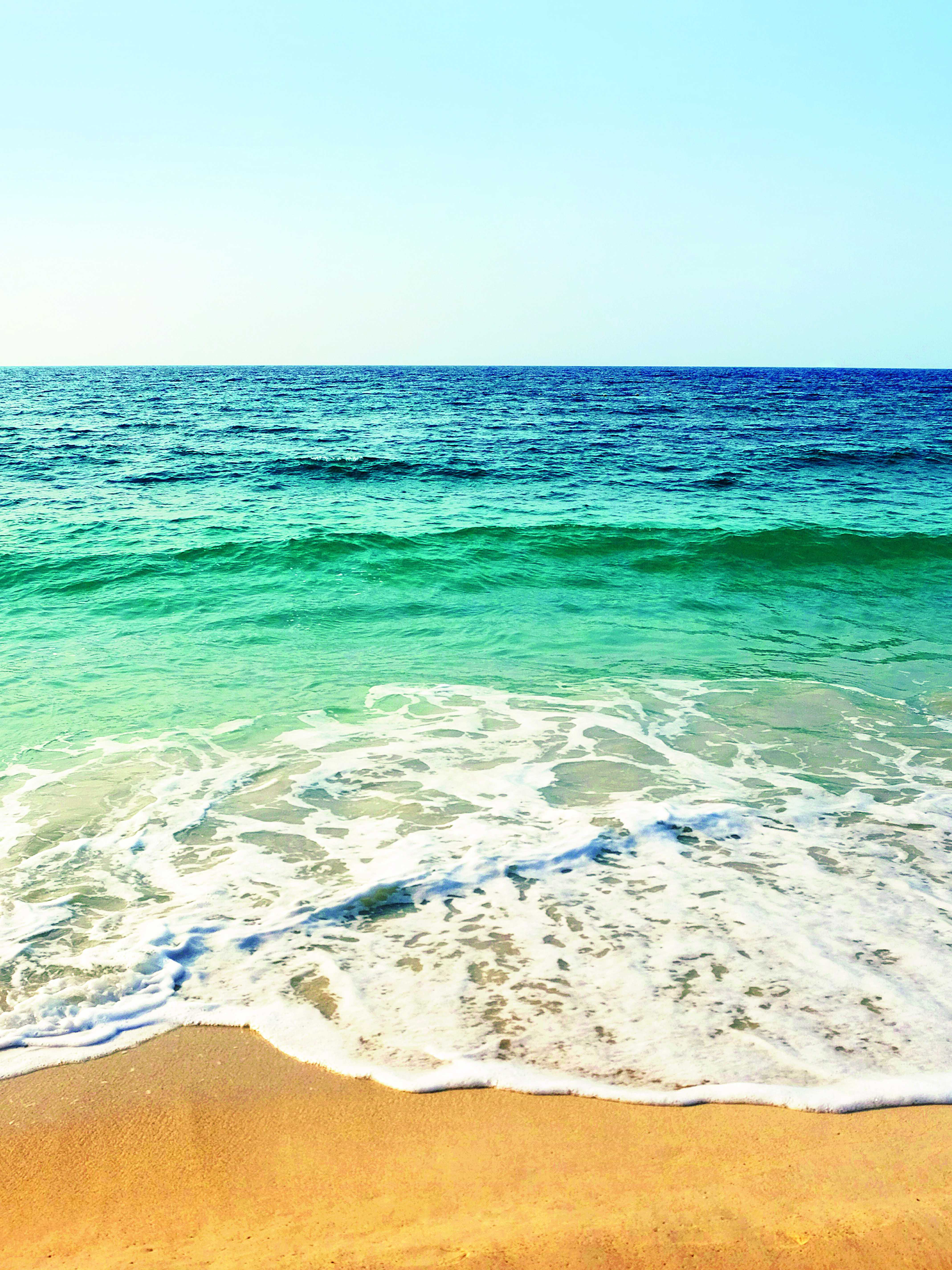 Rosecliff Heights Beach View - Wrapped Canvas Painting | Wayfair