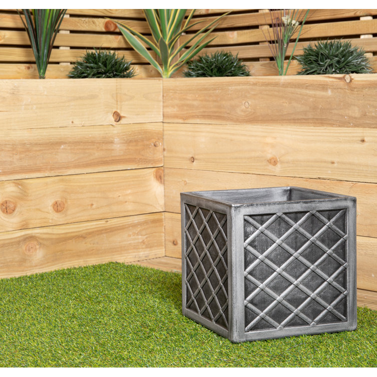 Samuel Alexander Pot Planter | Wayfair.co.uk