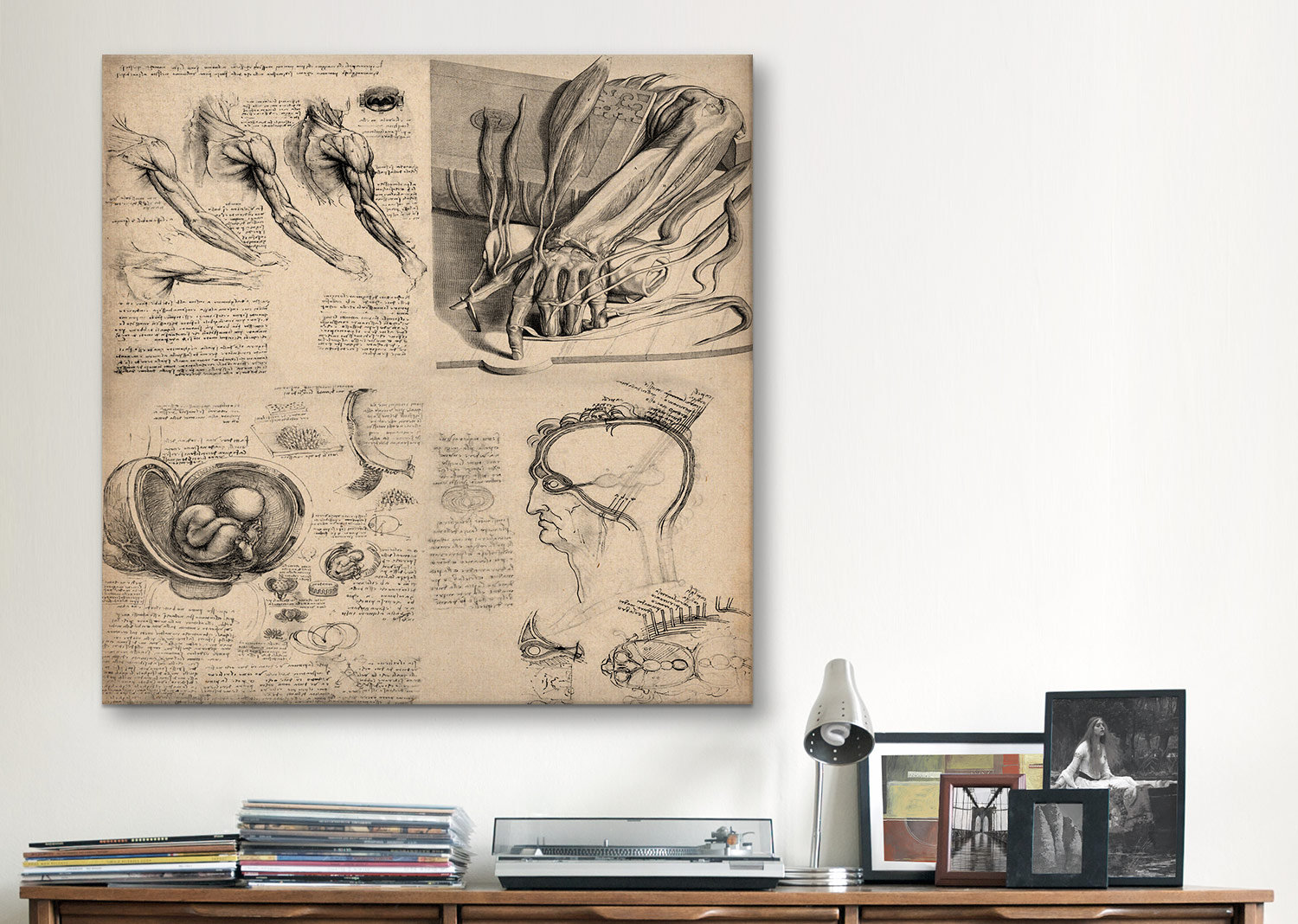 Vault W Artwork Human Body Anatomy Collage by Leonardo Da Vinci ...