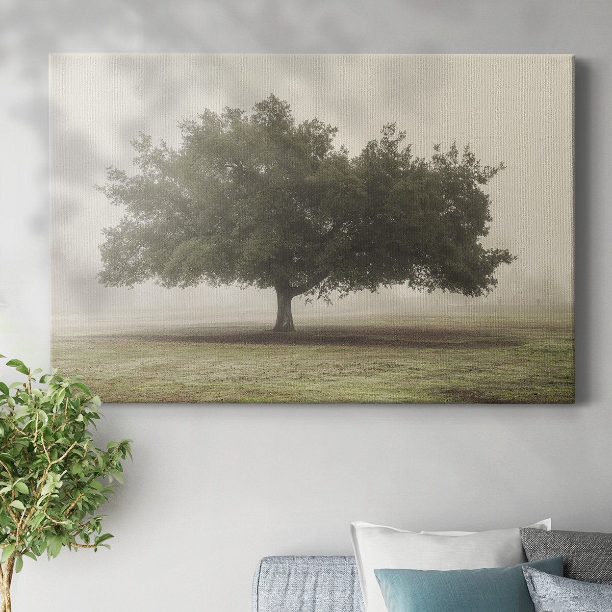 Winston Porter Trees in the Fog II-Gallery Wrapped Canvas | Wayfair