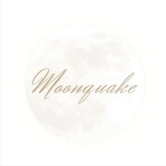 MoonQuake | Wayfair