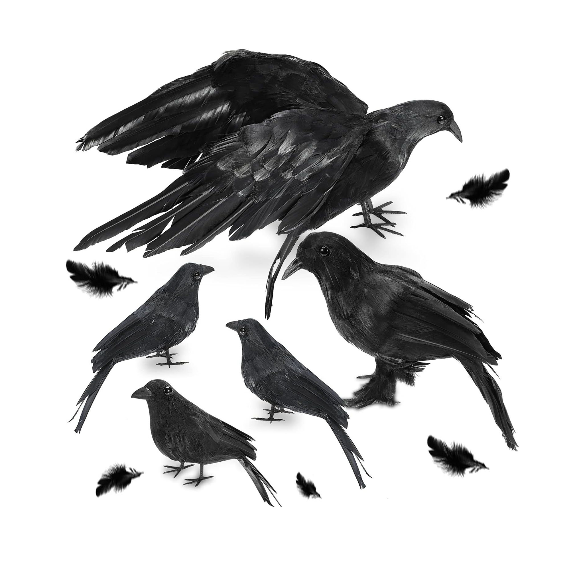 Ophelia & Co. Halloween Crow Decorations 5 Pack, Realistic Black Crows ...