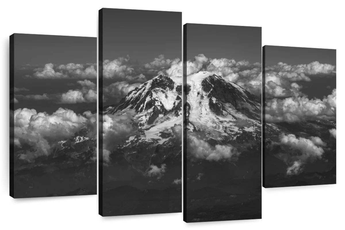 Millwood Pines Alvord Monochrome Mount Rainier | Wayfair