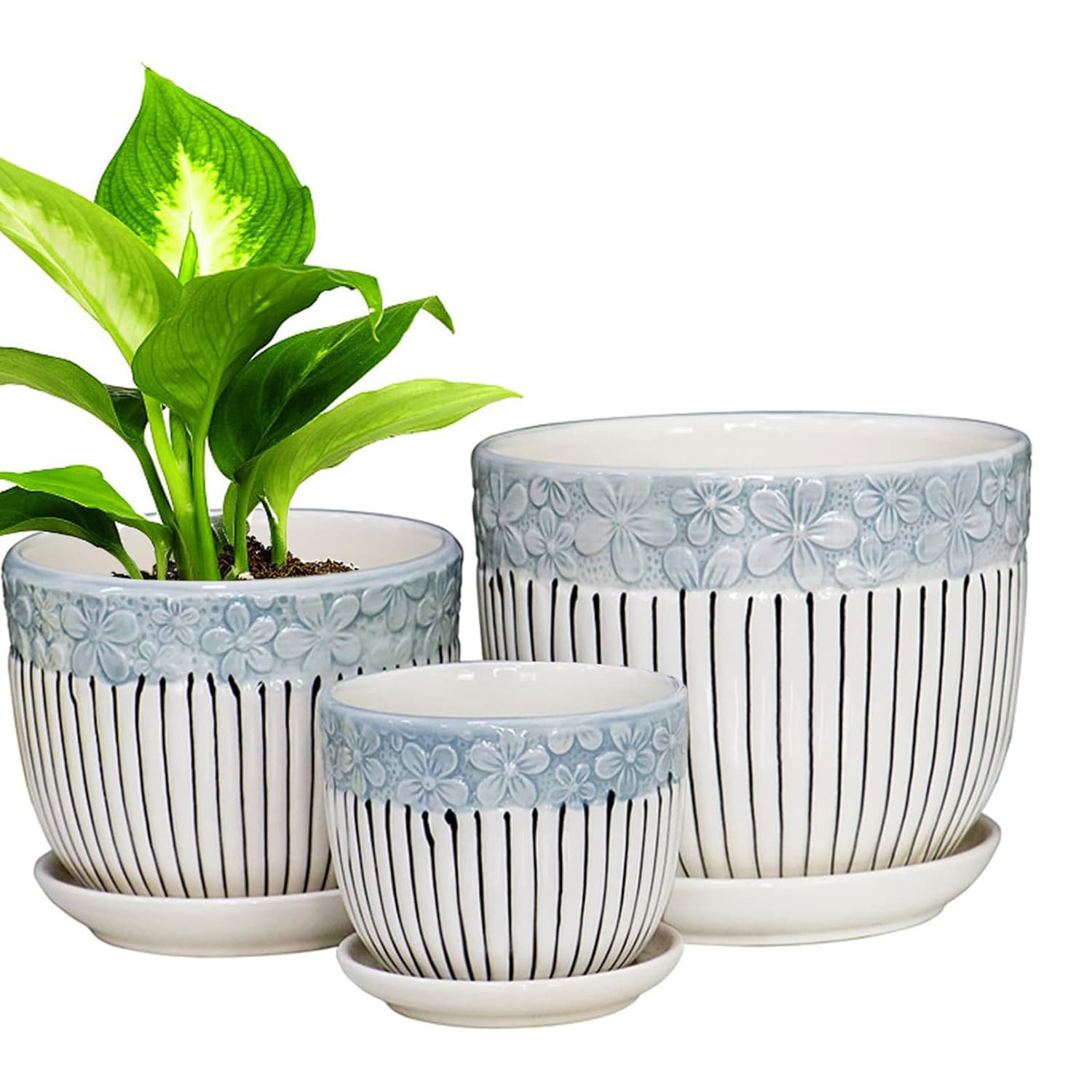 Dakota Fields Ewan Ceramic POTS Set Of 3, With Drainage Holes And ...
