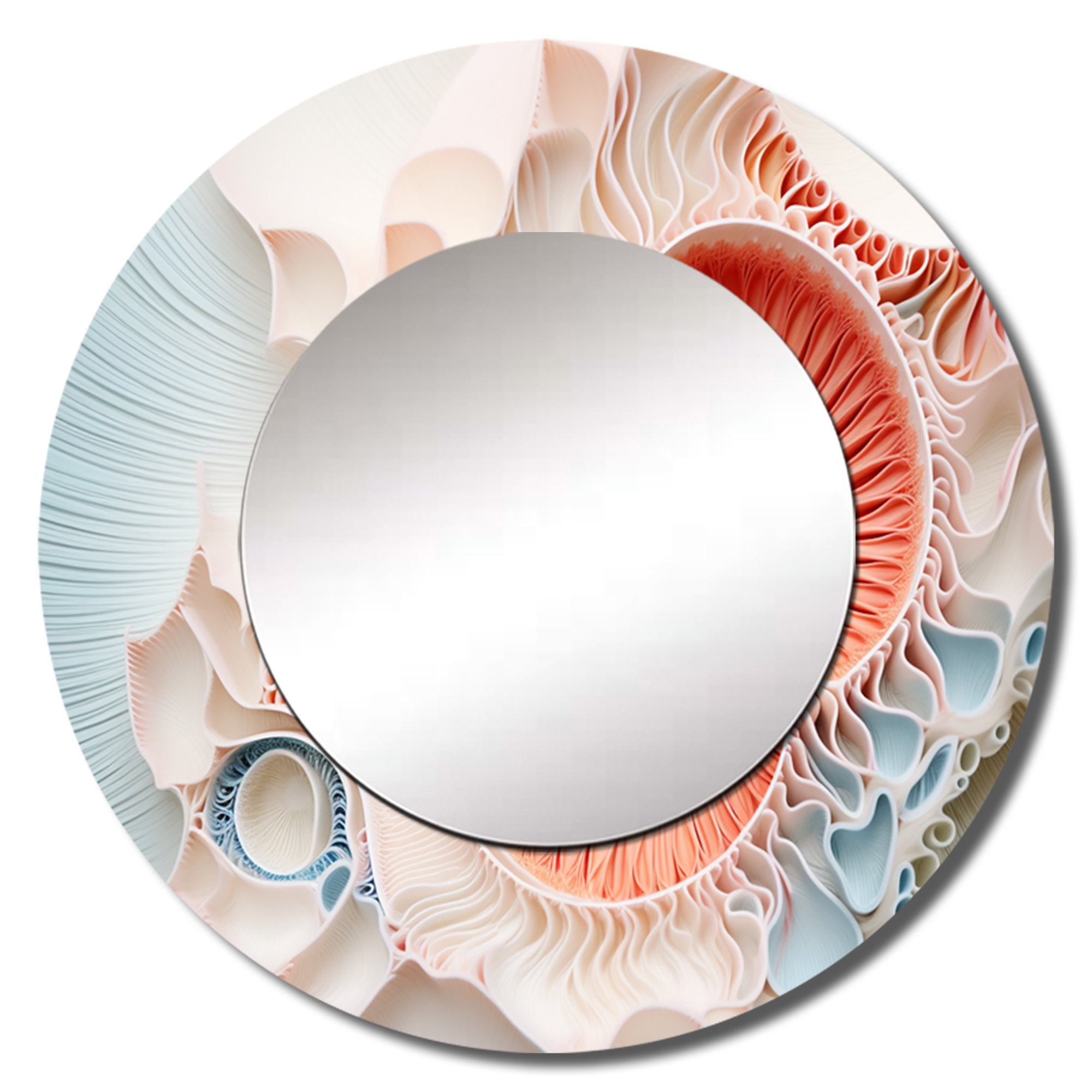 East Urban Home Rhodie Coral Chamber Nautilus Spiral - Nautilus Unique ...