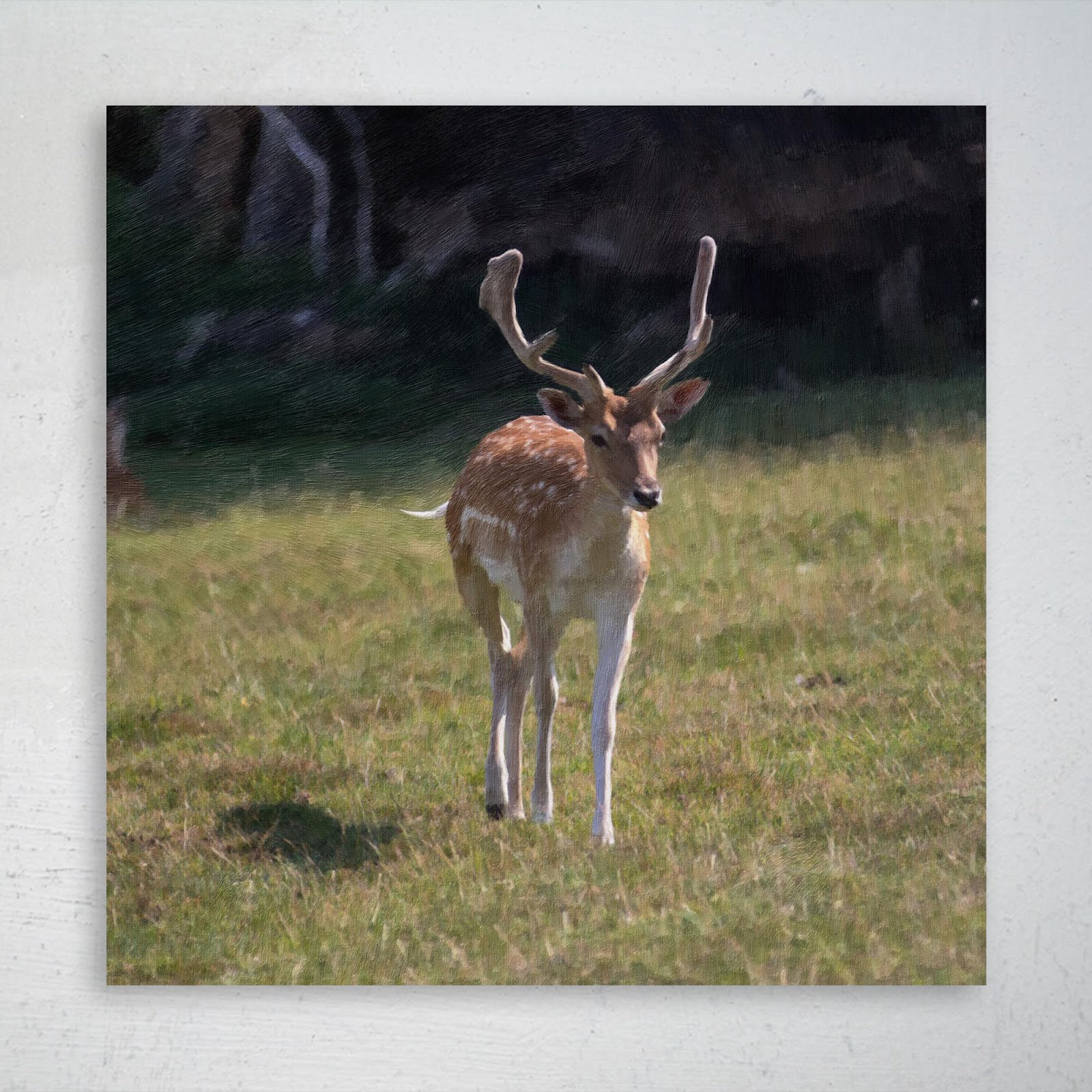 Loon Peak Brown Deer On Green Grass Field During Daytime 154 - 1 Piece ...