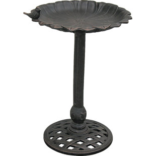 Metal Bird Baths You'll Love | Wayfair