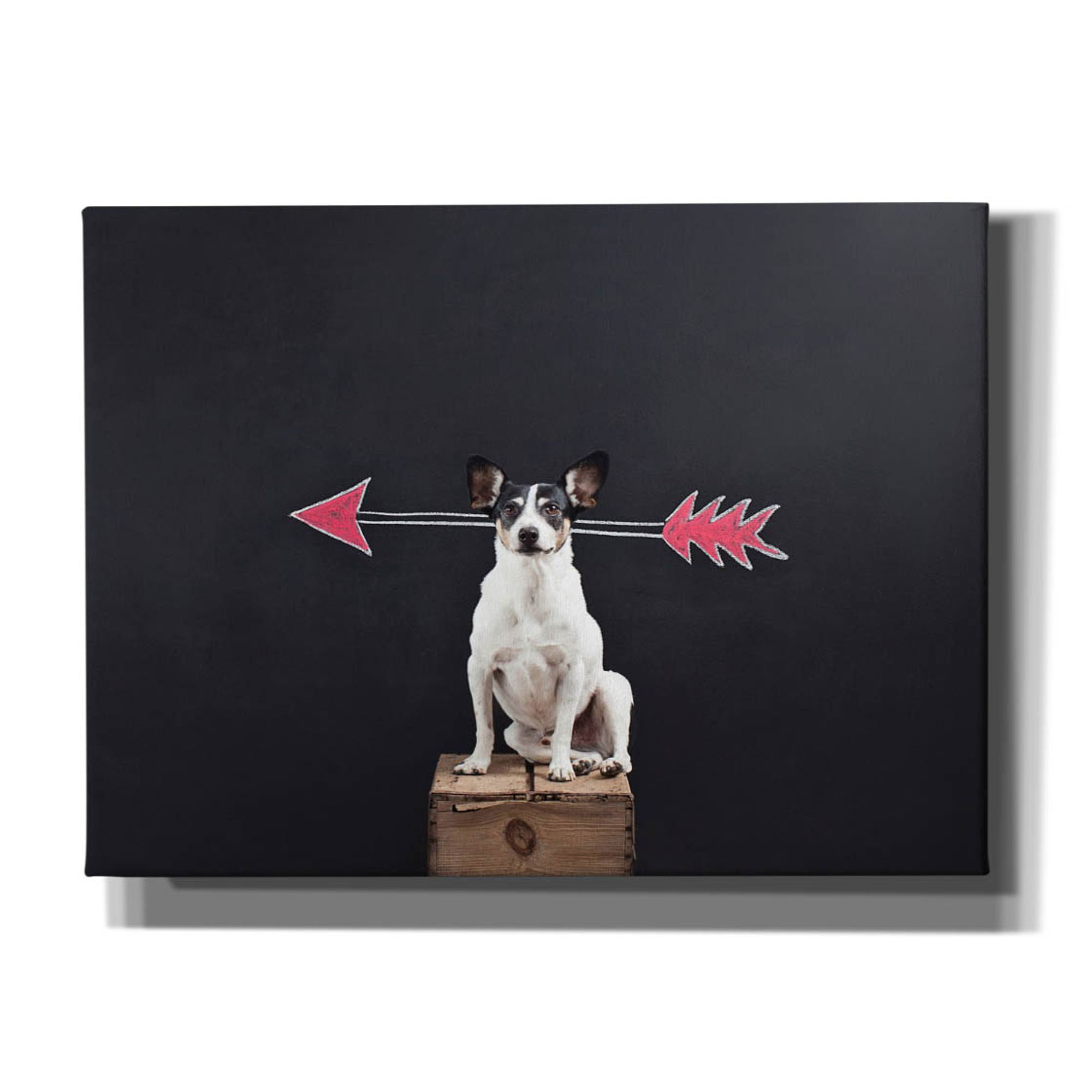 Trinx 'Prankster' By Susan Sabo, Canvas Wall Art - Wayfair Canada