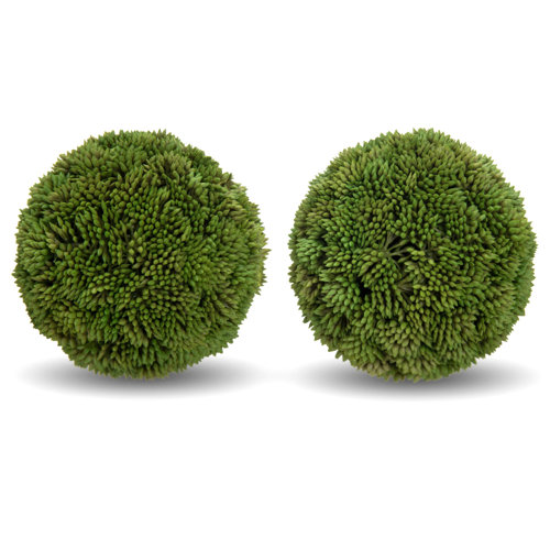 Green Decorative Objects You'll Love | Wayfair