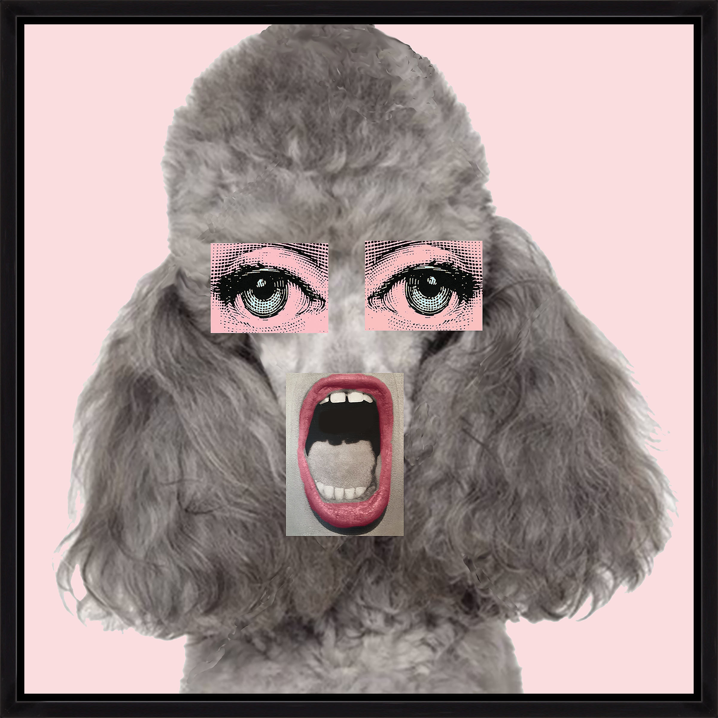 Chelsea Art Studio Pink Poodle Mouth by Jeffrey Goodman Framed Wall Art ...