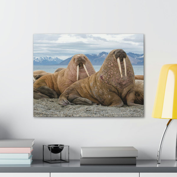 Ebern Designs Funny Walrus Silly Walrus Scene Couple Wall Art | Wayfair