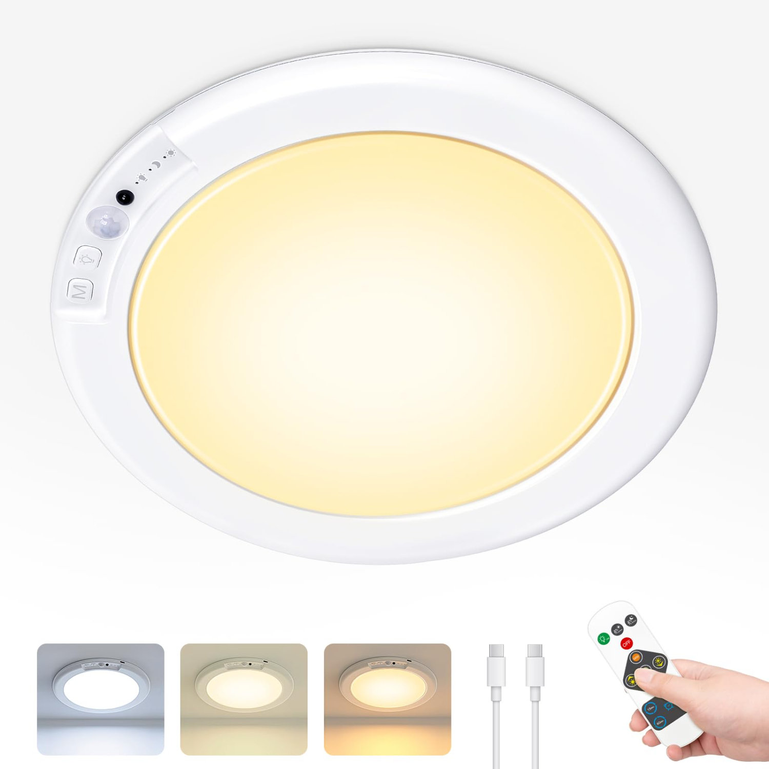 Wrought Studio™ Battery Operated Flush Mount Ceiling Light, Wireless ...