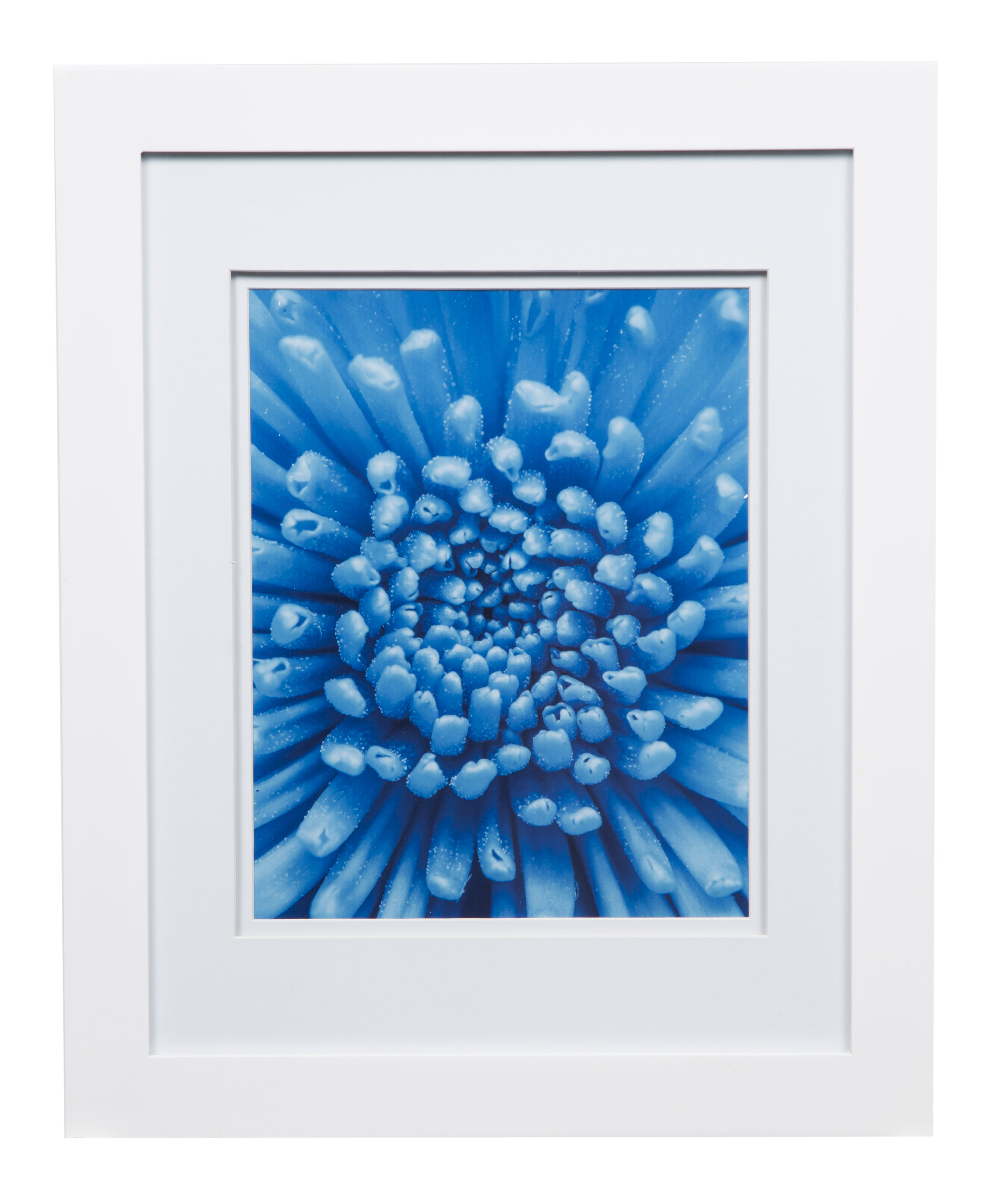 Charlton Home® Hausmann Double Mat Picture Frame "& Reviews" | Wayfair