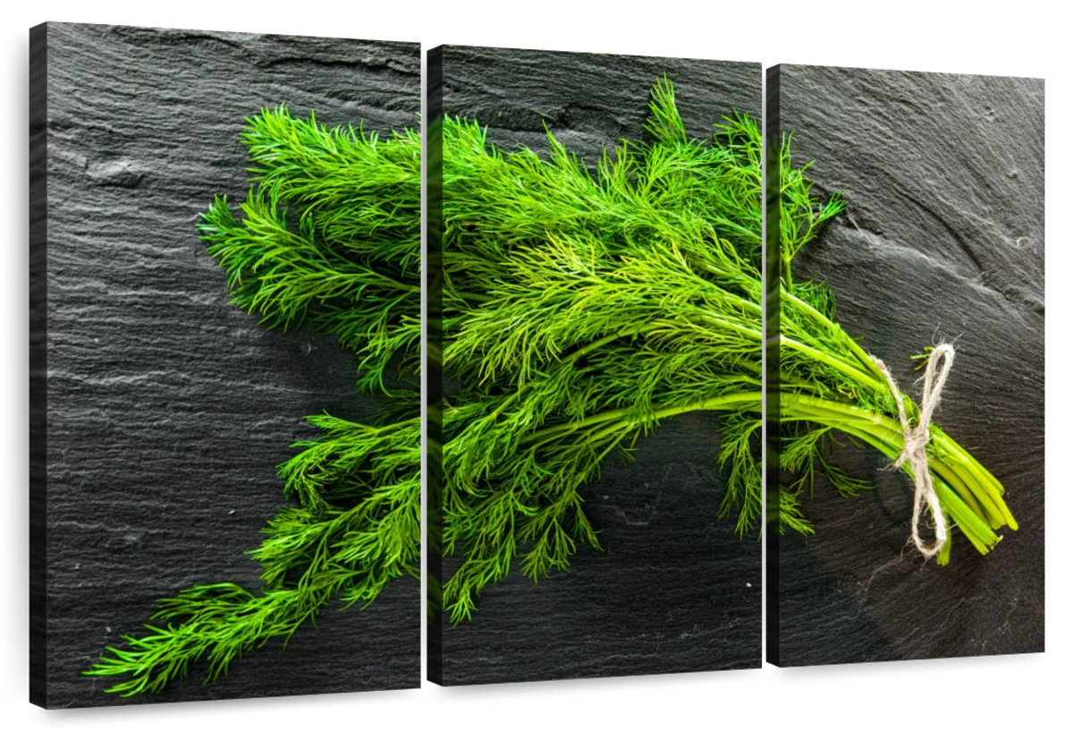 Elephant Stock Sprigs Of Dill | Wayfair