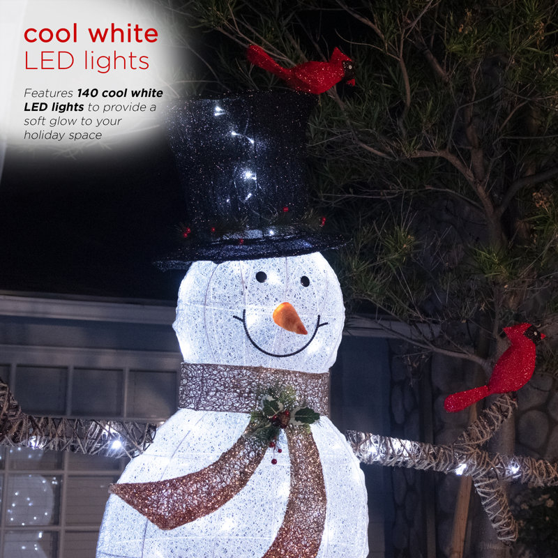 The Holiday Aisle® Snowman Lighted Display & Reviews | Wayfair