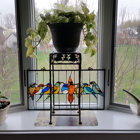 Alcott Hill® Birds Window Panel & Reviews - Wayfair Canada
