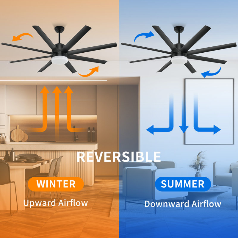 Wade Logan® Arnolds 60'' Ceiling Fan with LED Lights & Reviews | Wayfair
