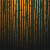 Bamboo - Wayfair Canada