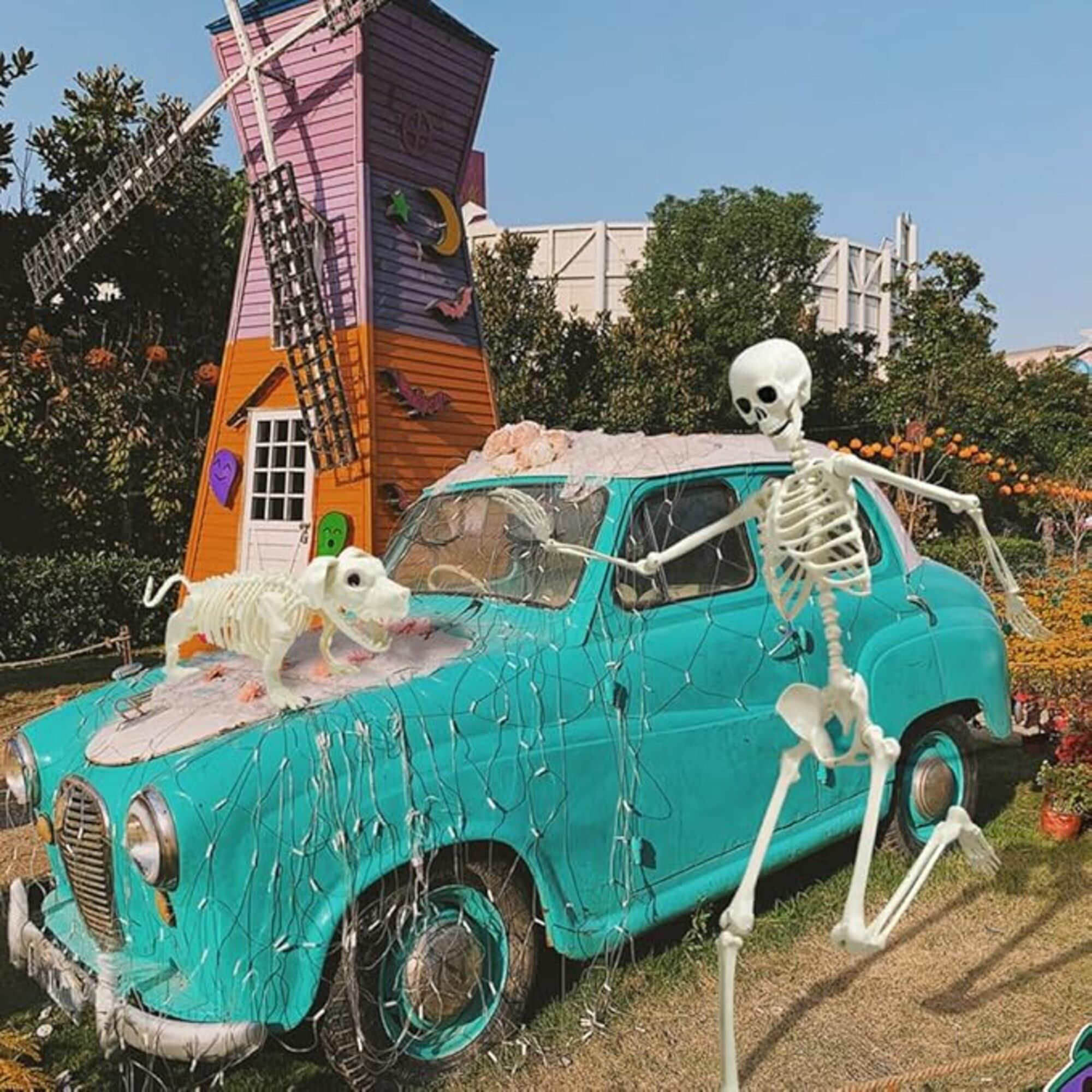 Dakota Fields 5.4Ft Posable Halloween Skeleton, Full Body Life Size ...