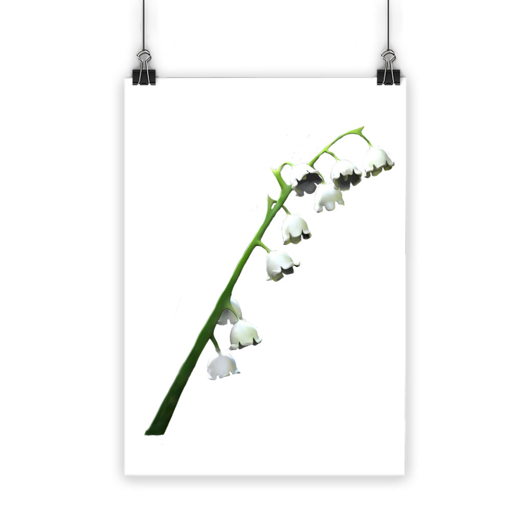Marick Booster Lilly Classic Poster - Wayfair Canada