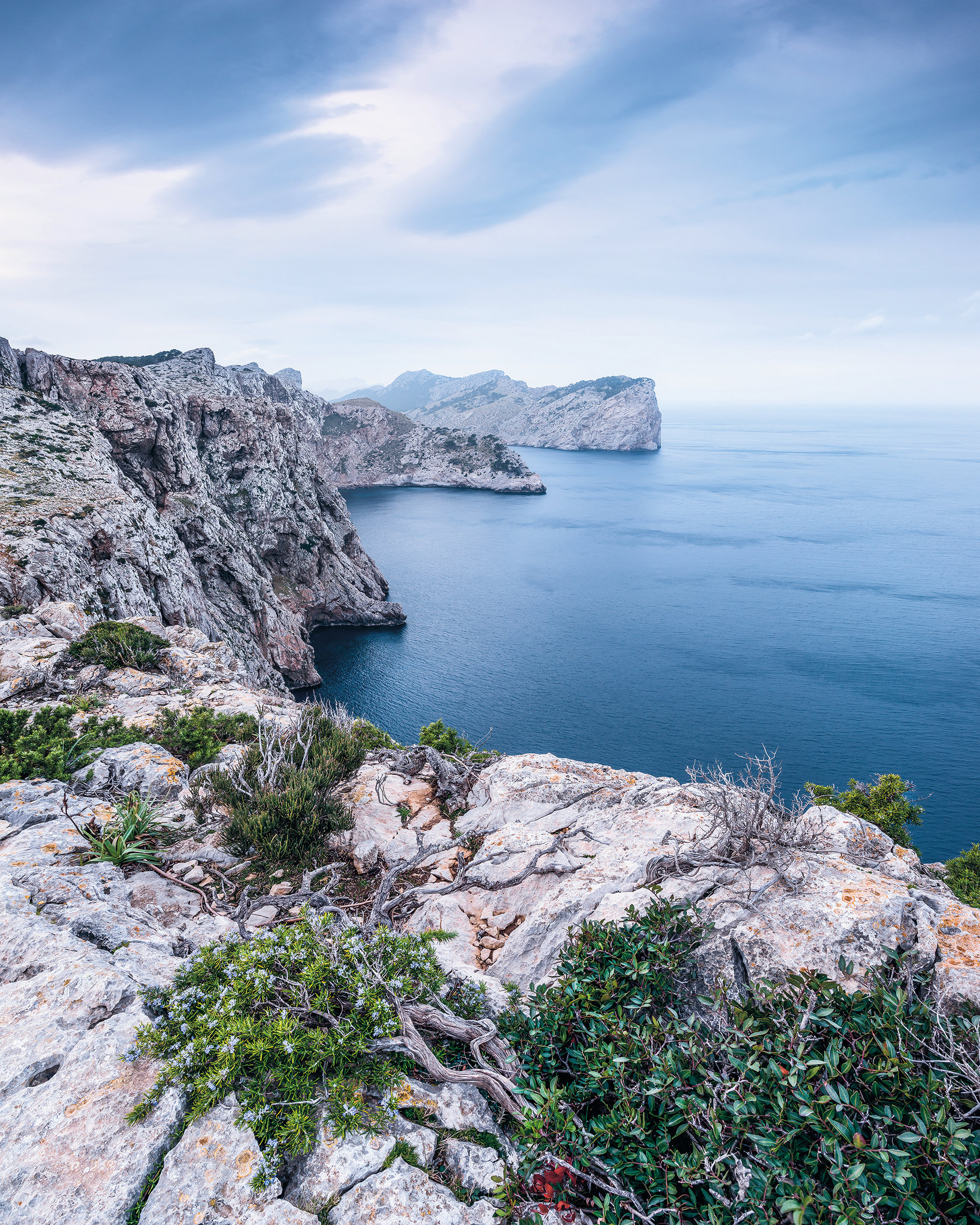 East Urban Home Catone Bizarre Coast 2.5m x 200cm Gloss Wallpaper Mural ...