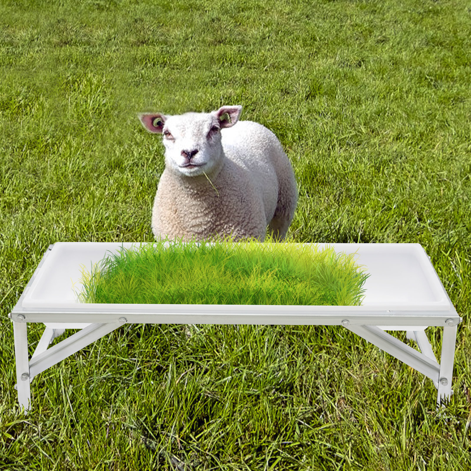 Tucker Murphy Pet™ Livestock Feed Trough Long Large Capacity Feeder ...