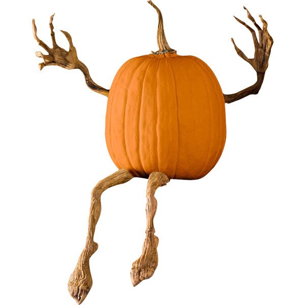Plow & Hearth Posable Pumpkin Vine Arms and Legs Set, Includes 4 Pieces ...