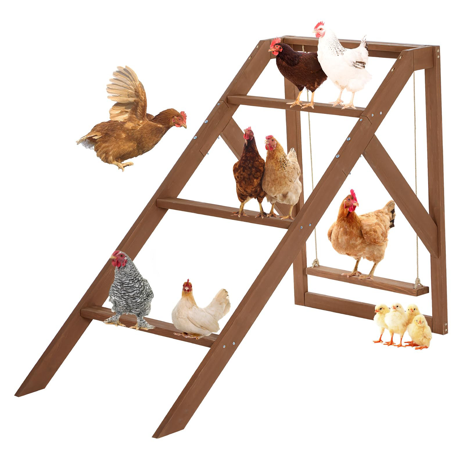 Ophelia & Co. 4 Chicken Perches With Swings For 8-10 Chickens, Chicken ...
