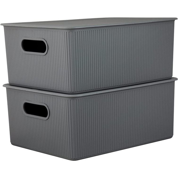 Superio Ribbed Plastic Box Set | Wayfair
