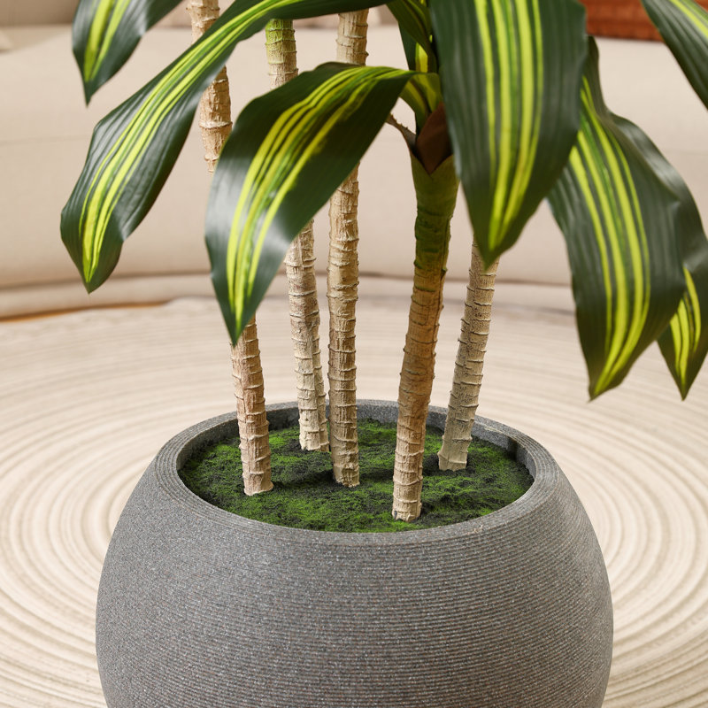 Primrue Adcock 7ft UV Resistant Fake Dracaena Tree with Grey Tall ...