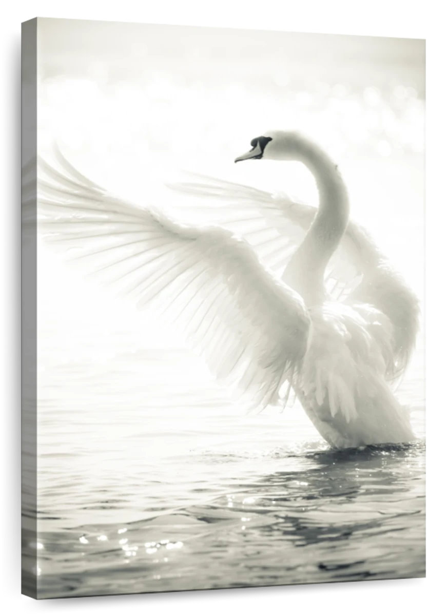 Ebern Designs Graceful White Swan - Wayfair Canada