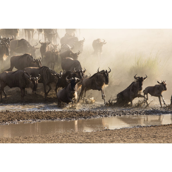 Alpen Home Wildebeest Migration by LourensLee - Wrapped Canvas ...