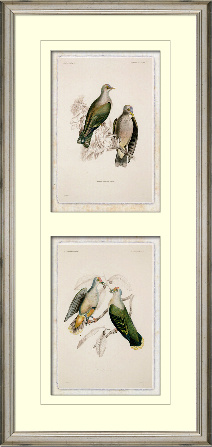 Wendover Art Group Stacked Pastel Birds I - Picture Frame Painting on ...