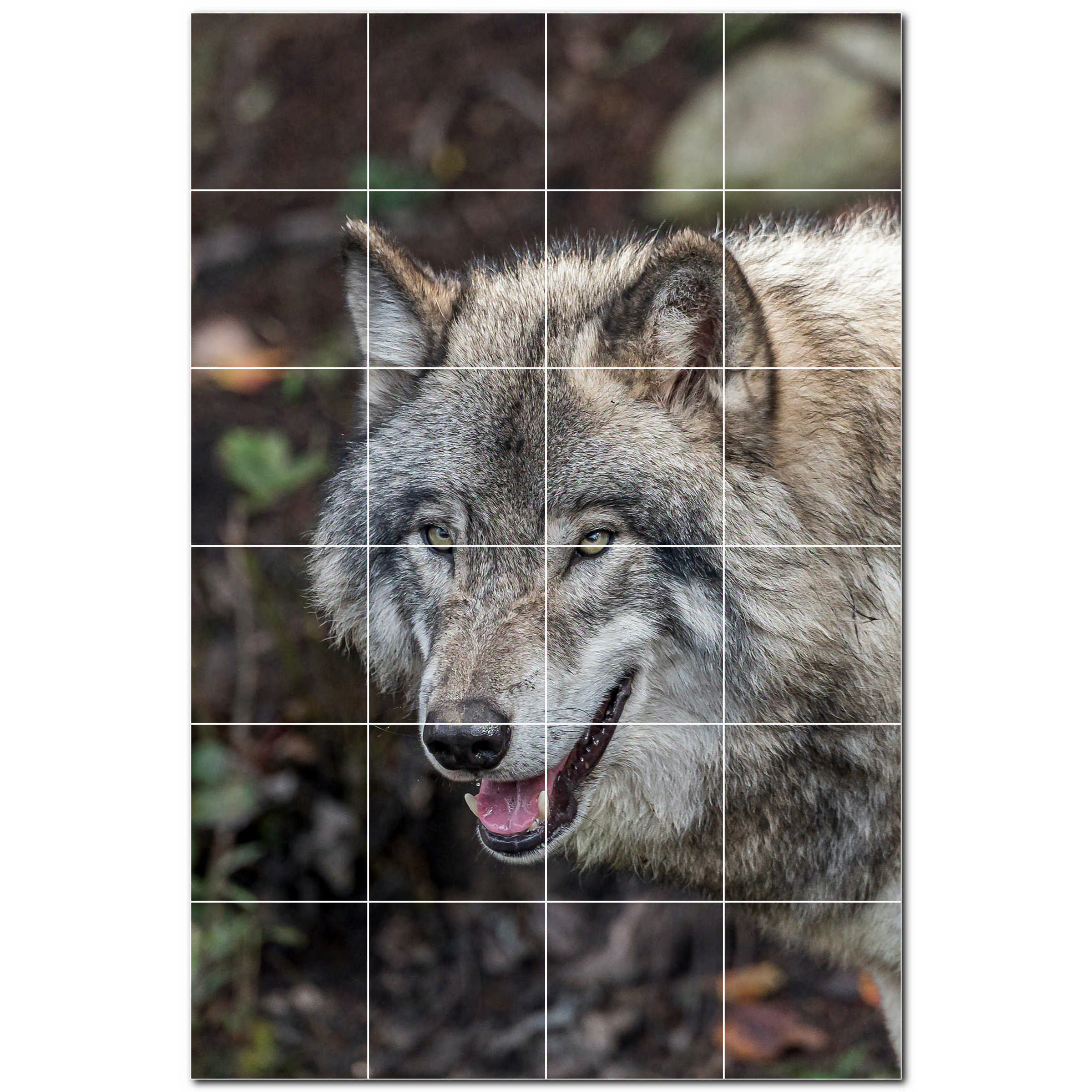 Picture-Tiles.com 24" x 36" Ceramic Wolf Photo Decorative Mural Tile ...