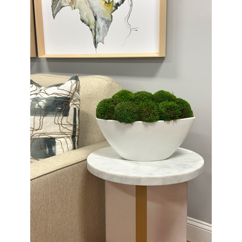 Primrue Mood Moss Arranged in Ceramic Pot | Wayfair