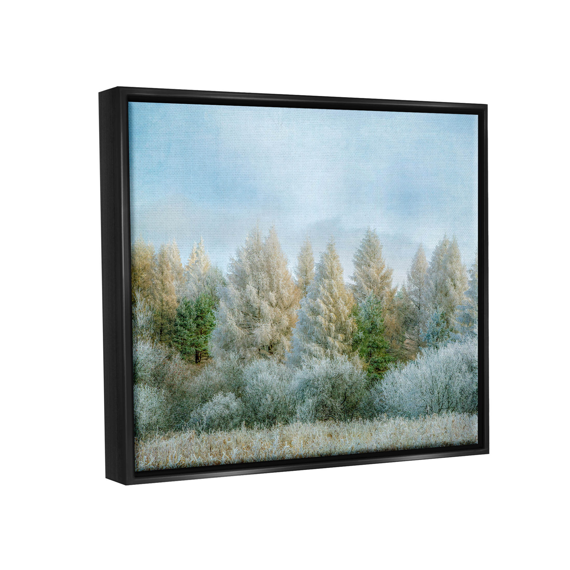 Stupell Industries Woodland Grove Forest Trees Framed Floater Canvas ...