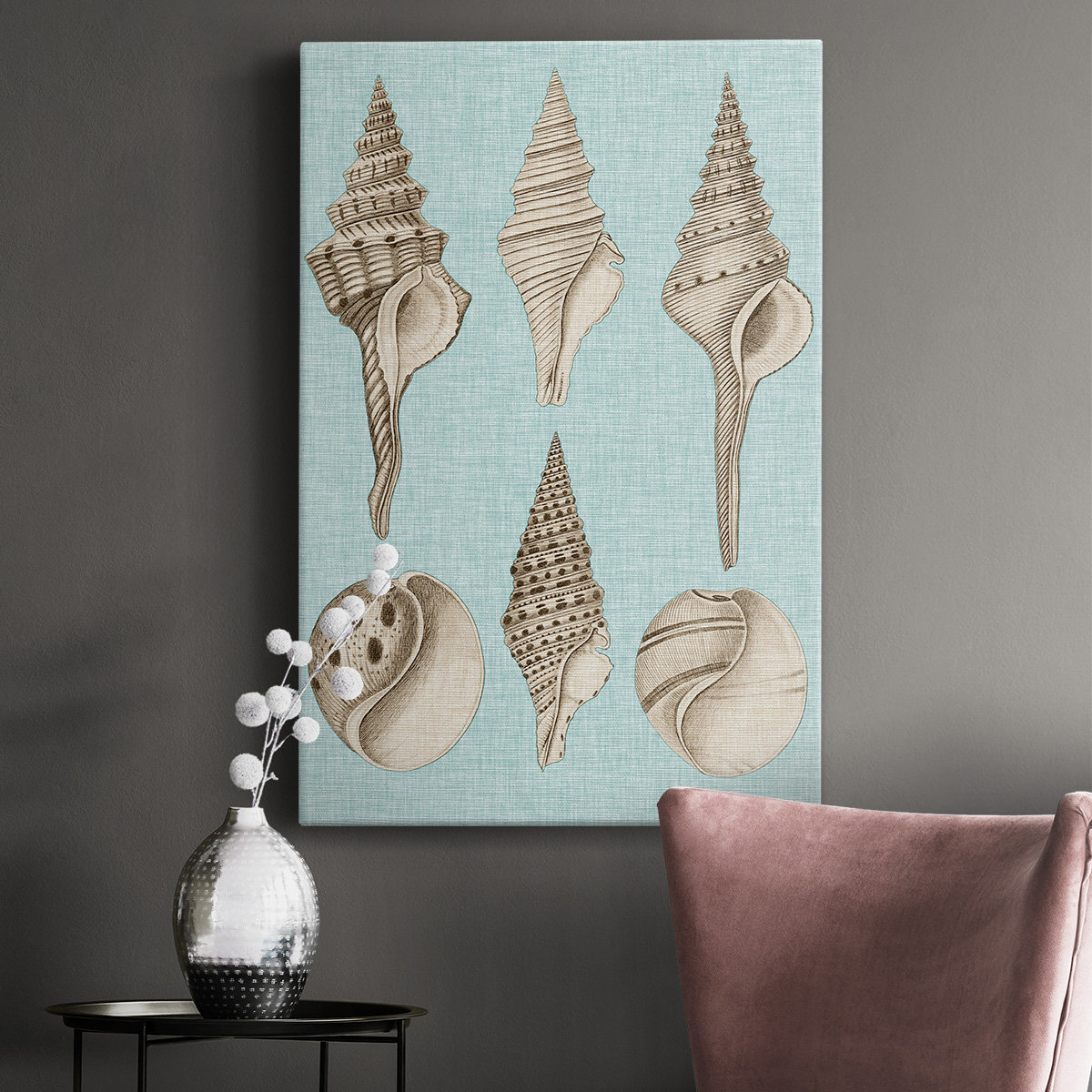 Dovecove Sepia & Aqua Shells II - Wrapped Canvas Painting | Wayfair