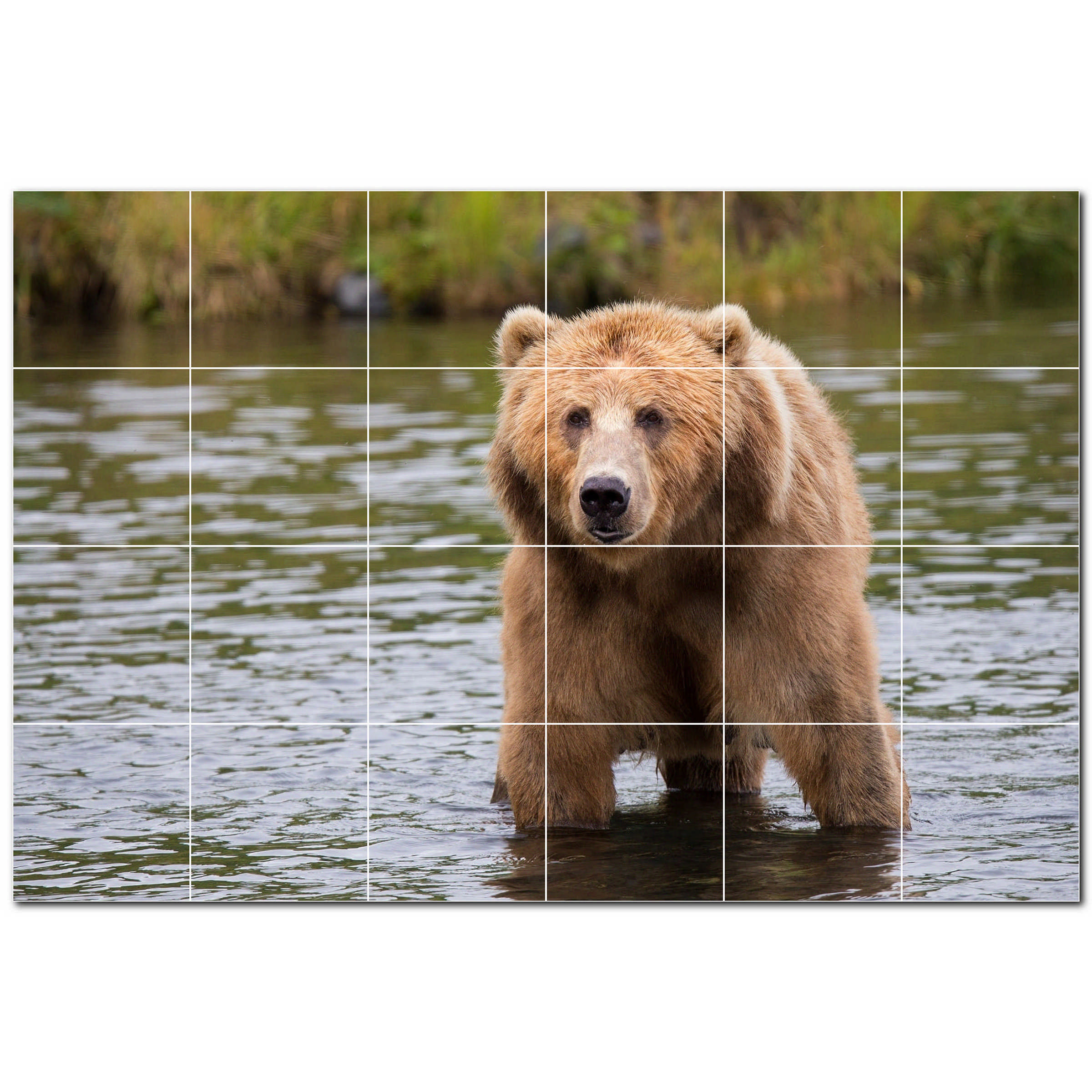 Picture-Tiles.com Bear Photo 12'' x 12'' Satin Ceramic Decorative Mural ...