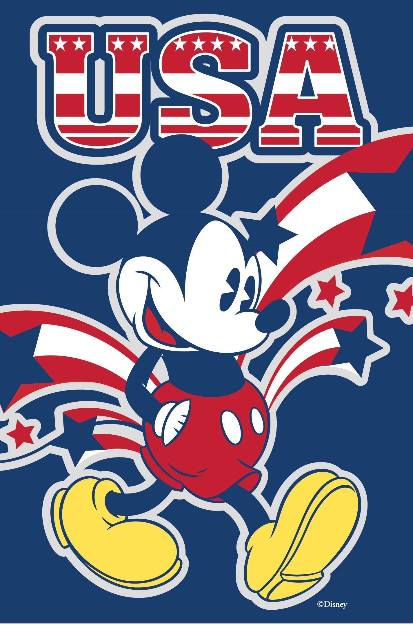 Back Yard Glory Disney Mickey USA House Flag, 28" x 40", Officially ...