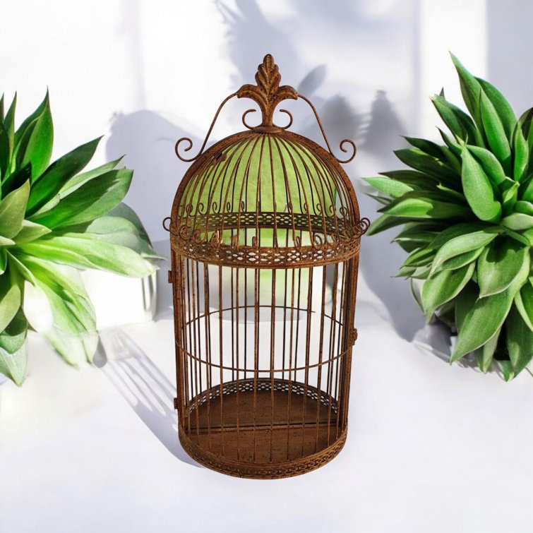 Lark Manor Rusty Garden Wall Mirror Bird Cage | Wayfair.co.uk