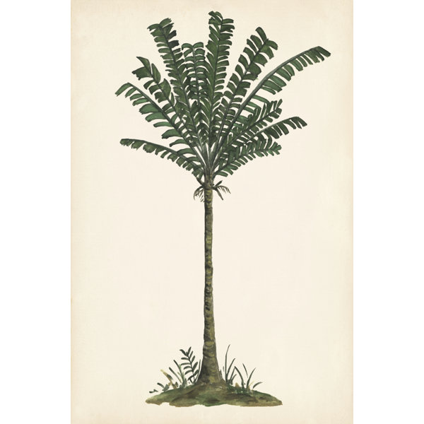 Bay Isle Home Palm Tree Study IV - Wrapped Canvas Art Prints | Wayfair ...