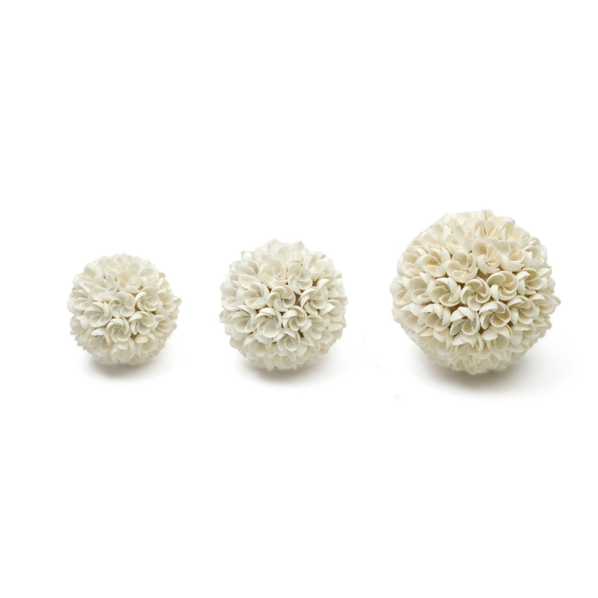 Red Barrel Studio® Everth 3 Piece Shell Balls Sculpture Set | Wayfair