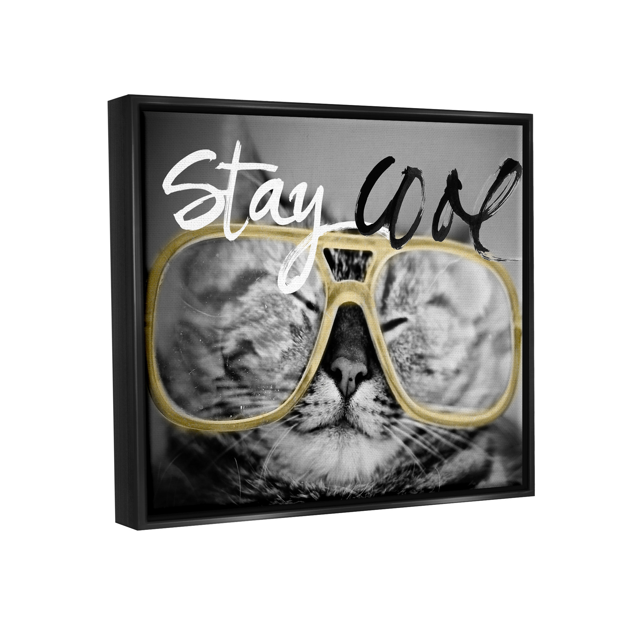 Trinx Stay Cool Cat Glasses Floating Canvas Wall Art By Sundance Group ...