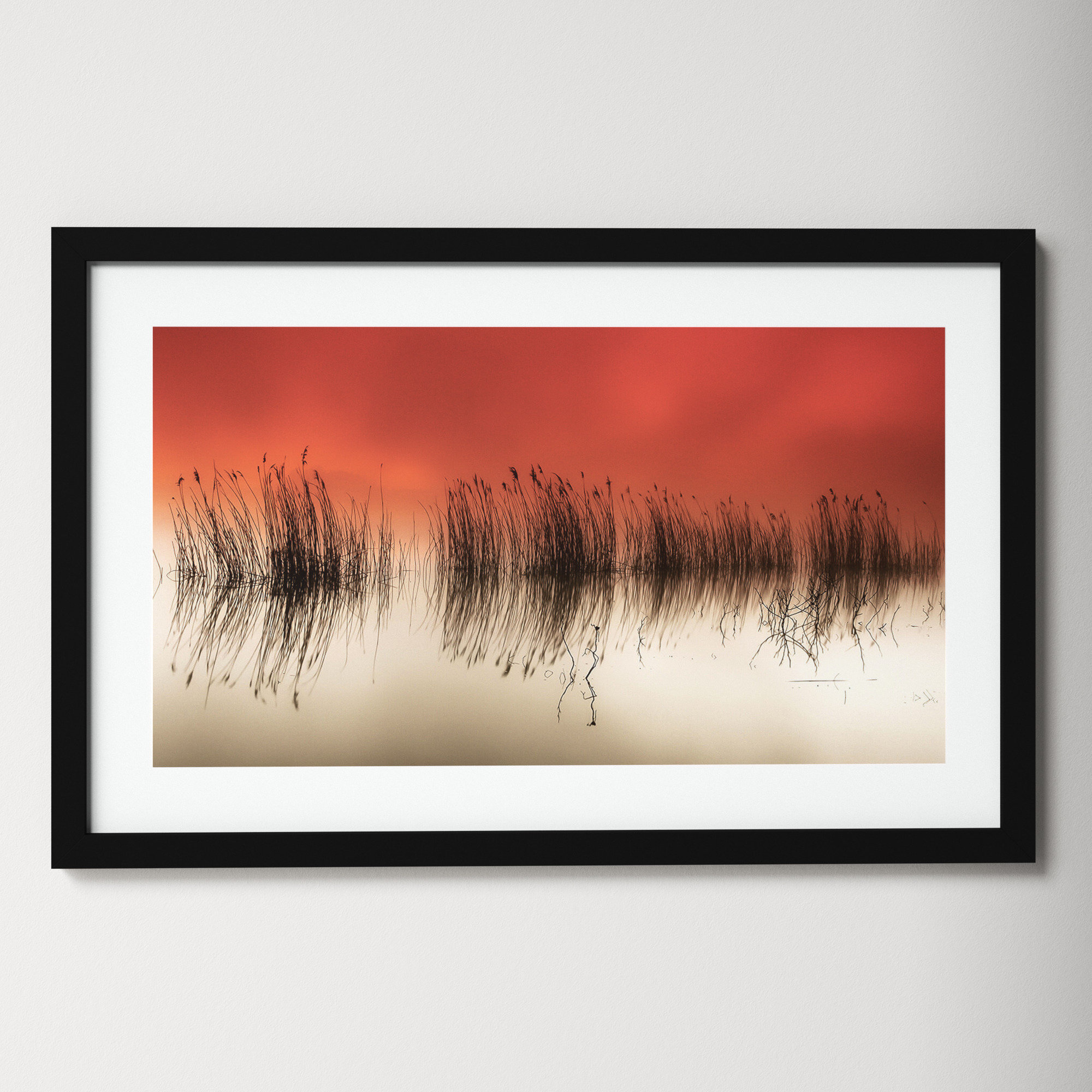 AllModern Serene Sea Grass by Rui David - Picture Frame Photograph ...