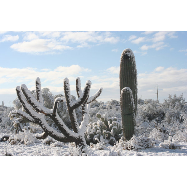 Natur Pur Fultonham Desert Snow by Mypicksy - Wrapped Canvas Print ...