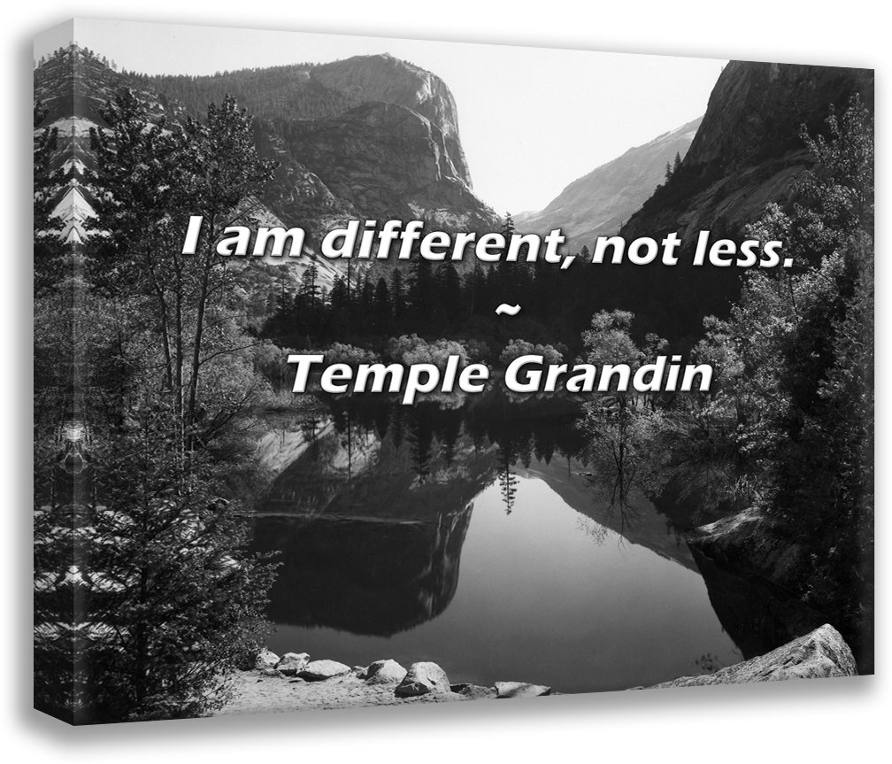 Trinx Temple Grandin Quote: I am different, not less. | Wayfair